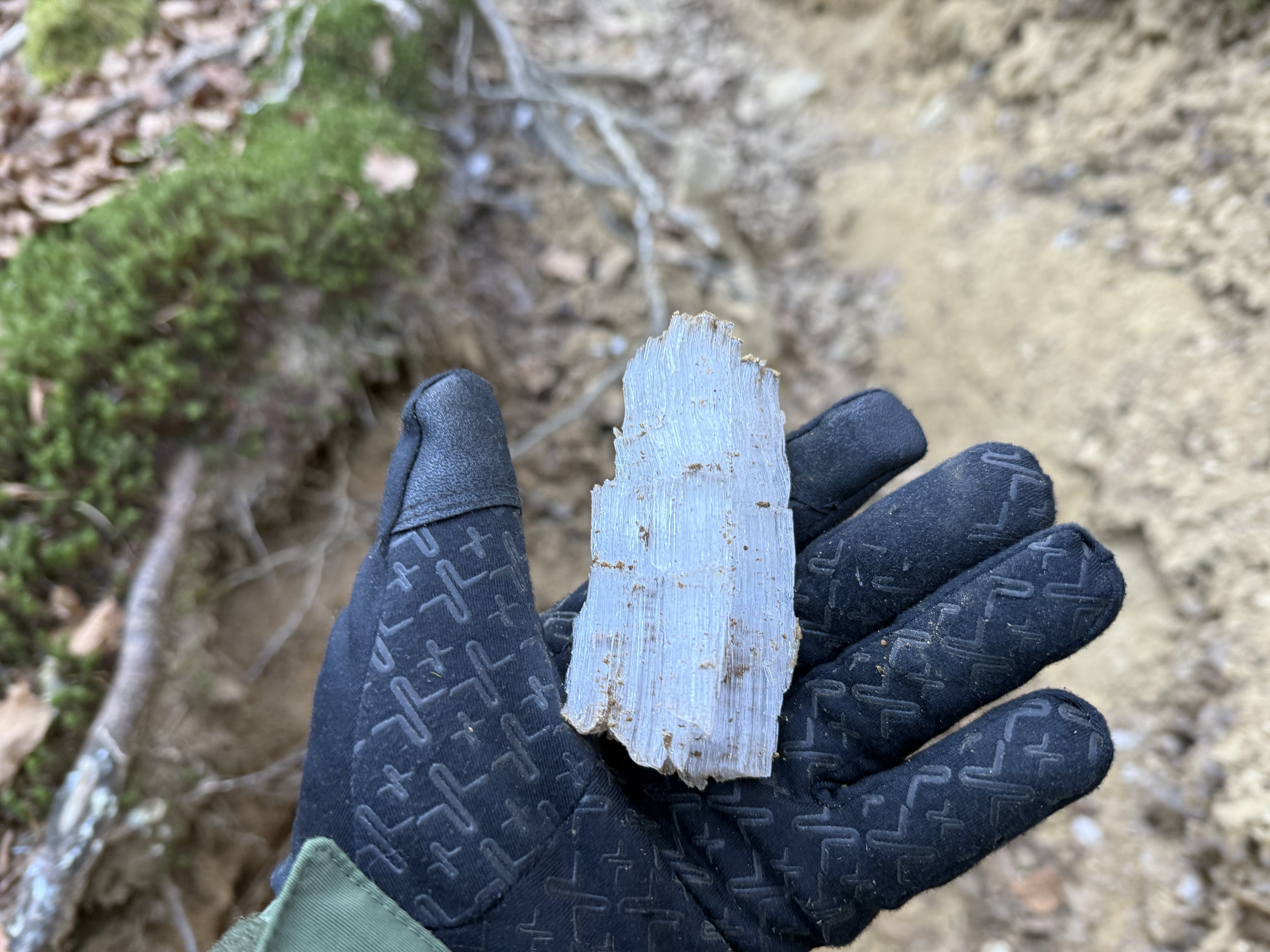 霜柱 | TORQUE STYLE