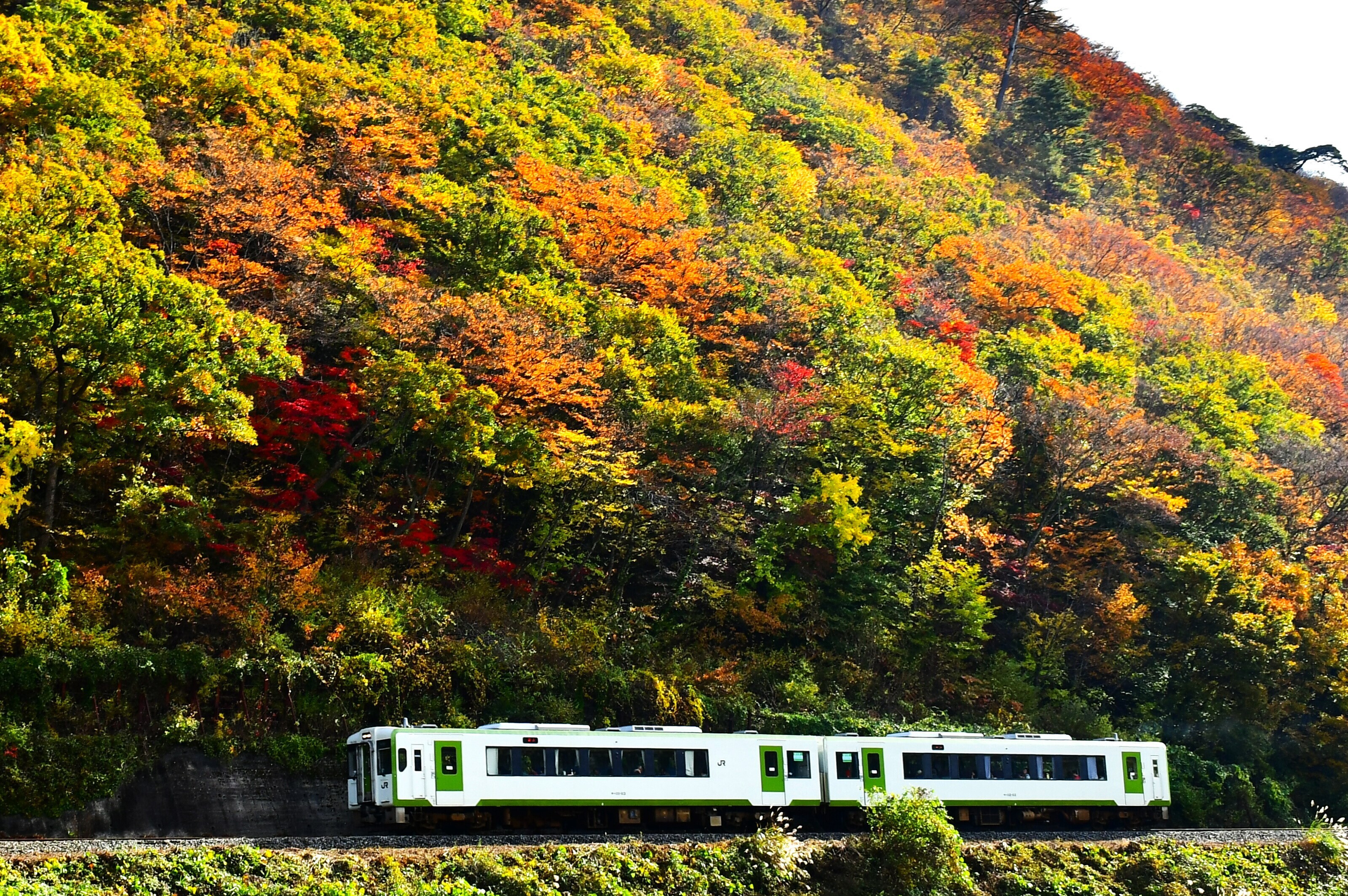 沿線秋色 | PHOTO HUB by nikkor club