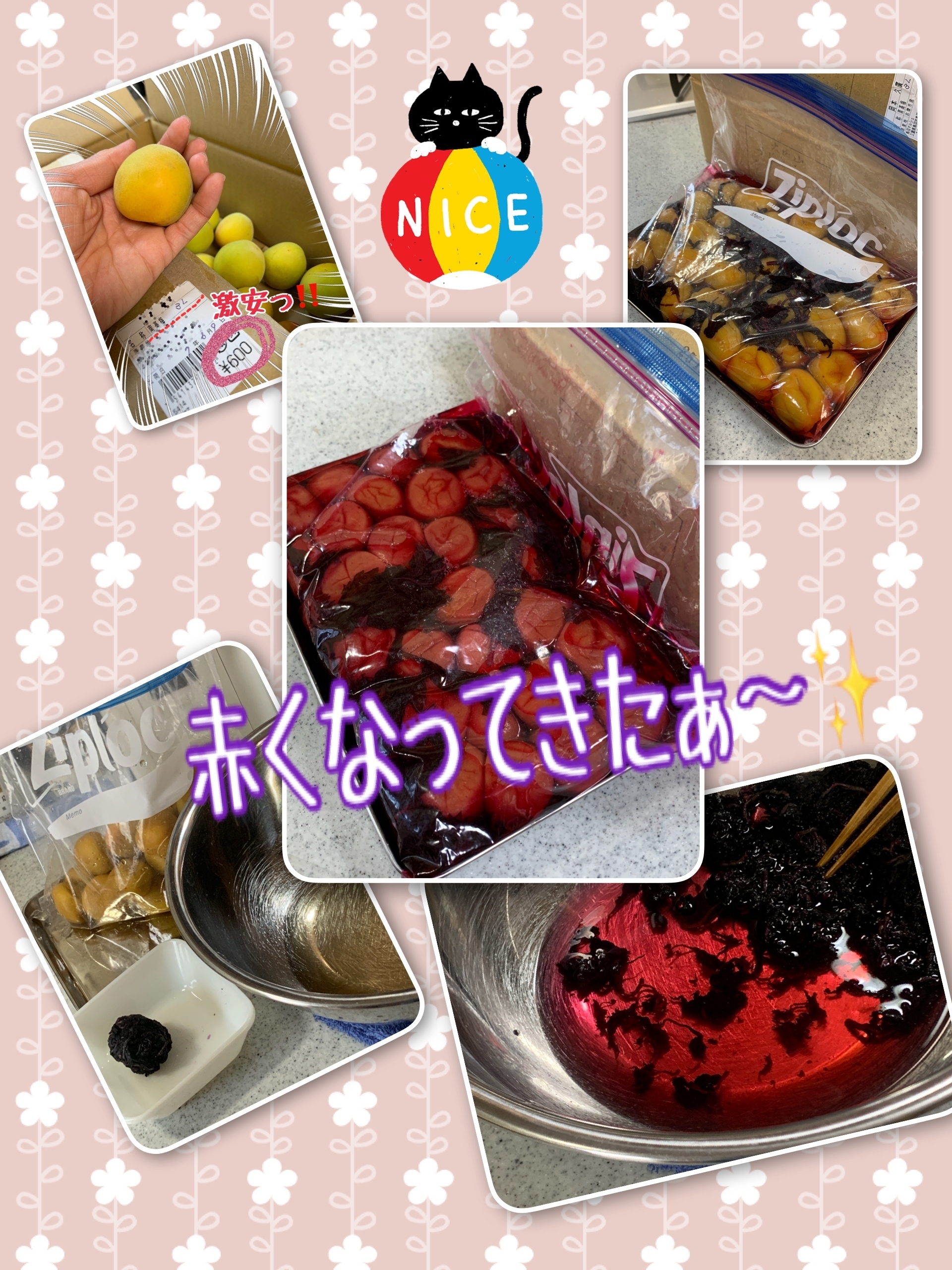 南高梅で赤い梅干し〜🔴作ってます👍 | CAINZ DIY Square