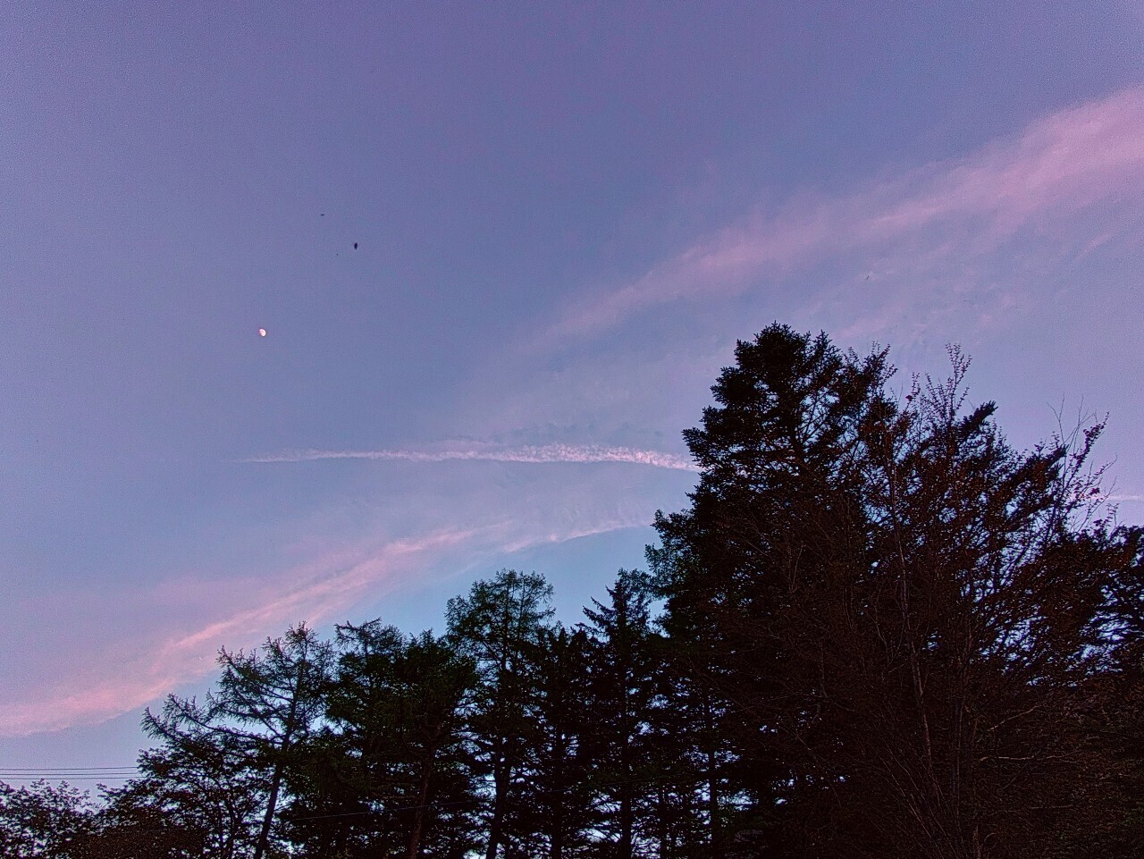 夕空 | TORQUE STYLE