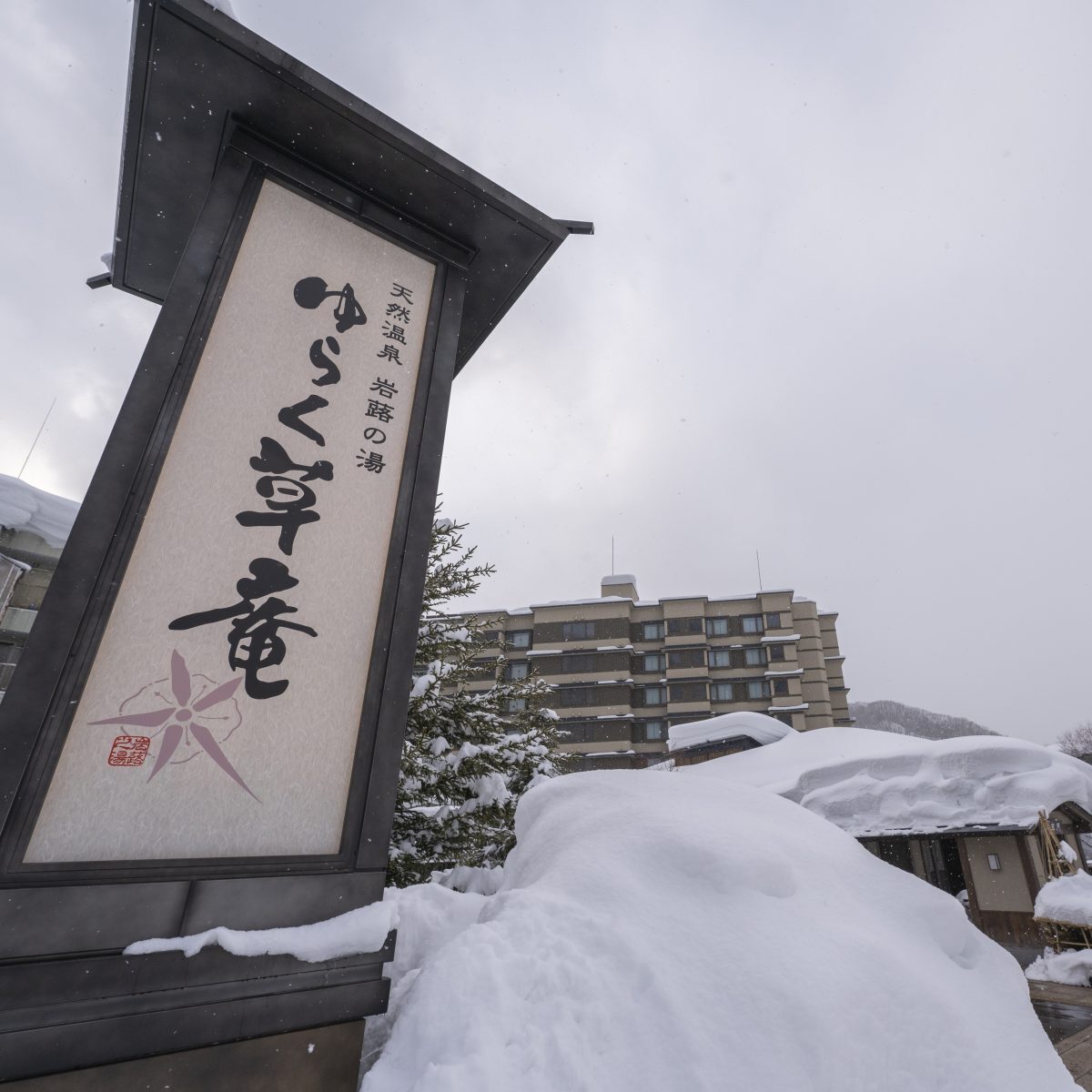 リモートワーカーなみんちゅの 一日一汗、出来... | DOMINISTYLE