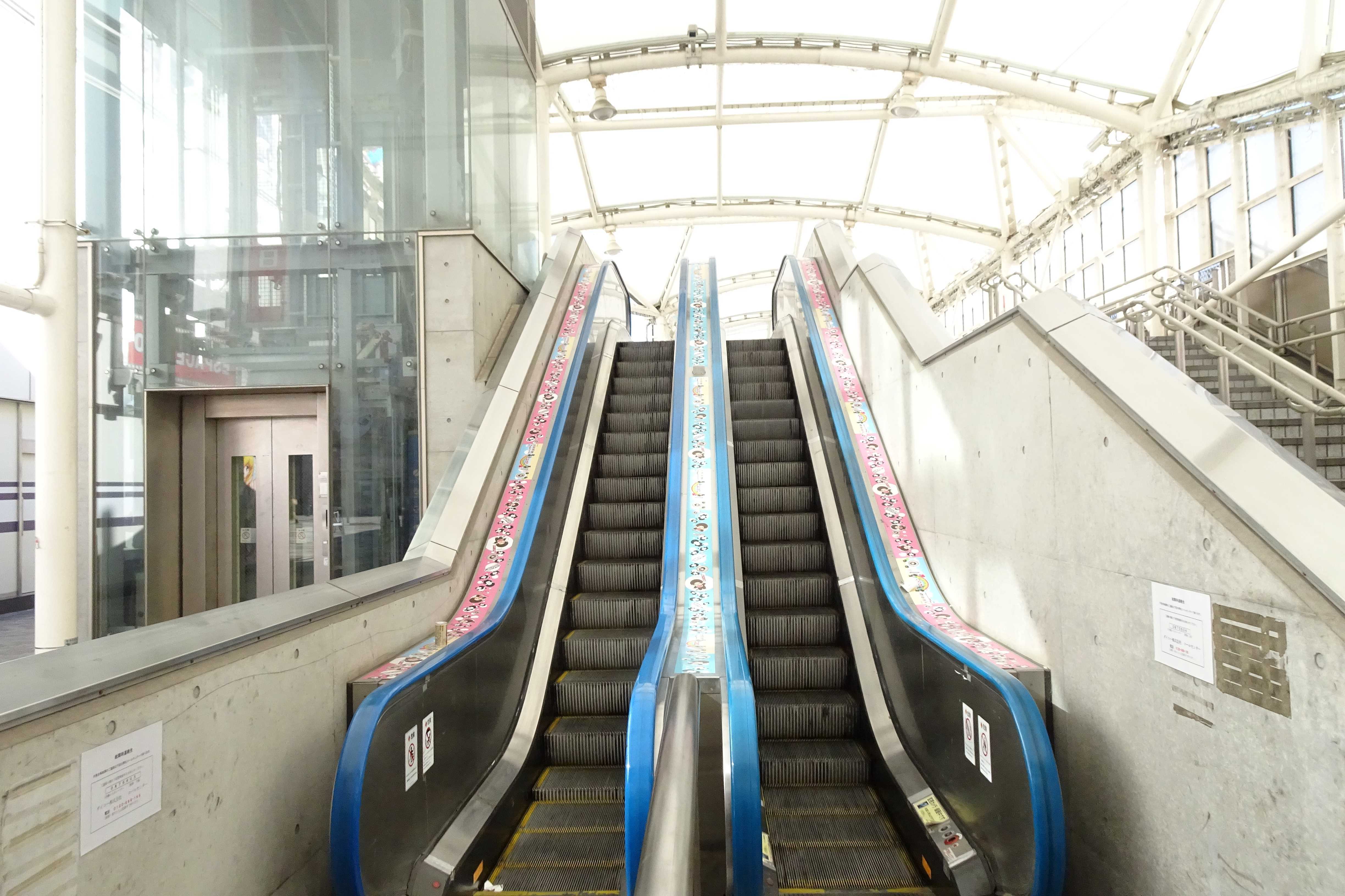 スカイデッキたつみ | YEBISU BEER TOWN - ヱビス公式ファンコミュニティ