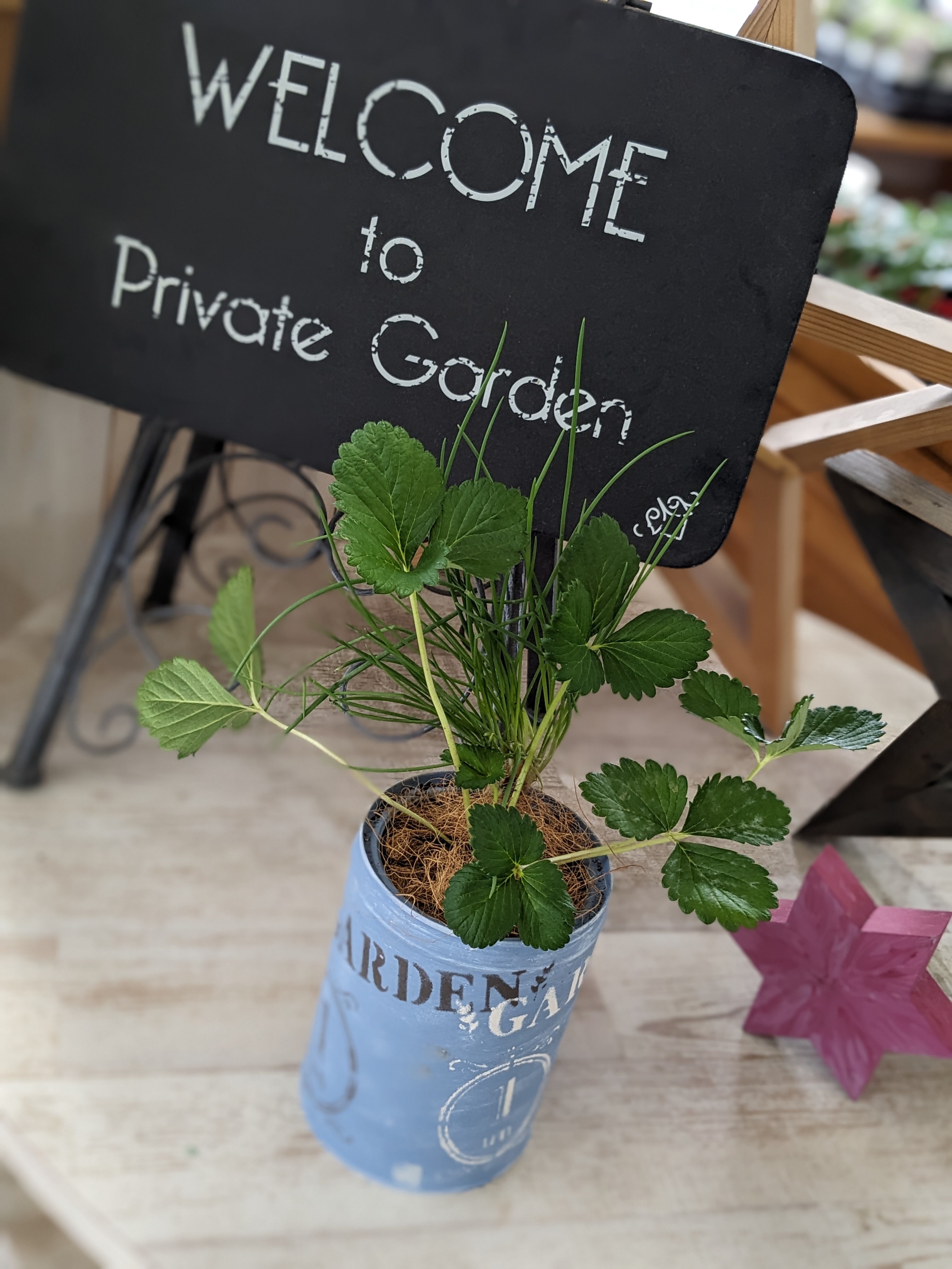 缶をリメイク カワイイ苺鉢🍓 | CAINZ DIY Square