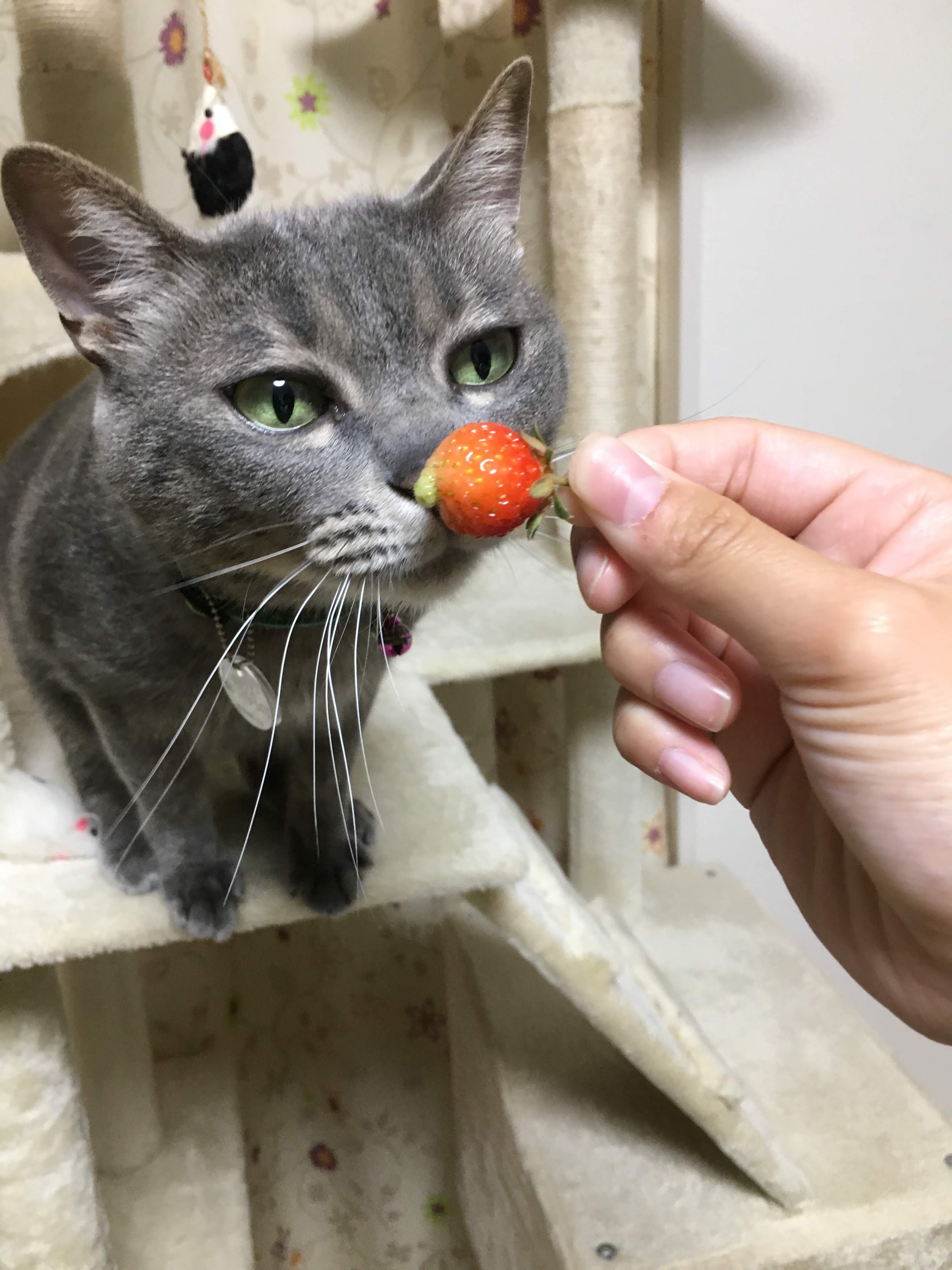 くんくん、甘〜い | CAINZ DIY Square