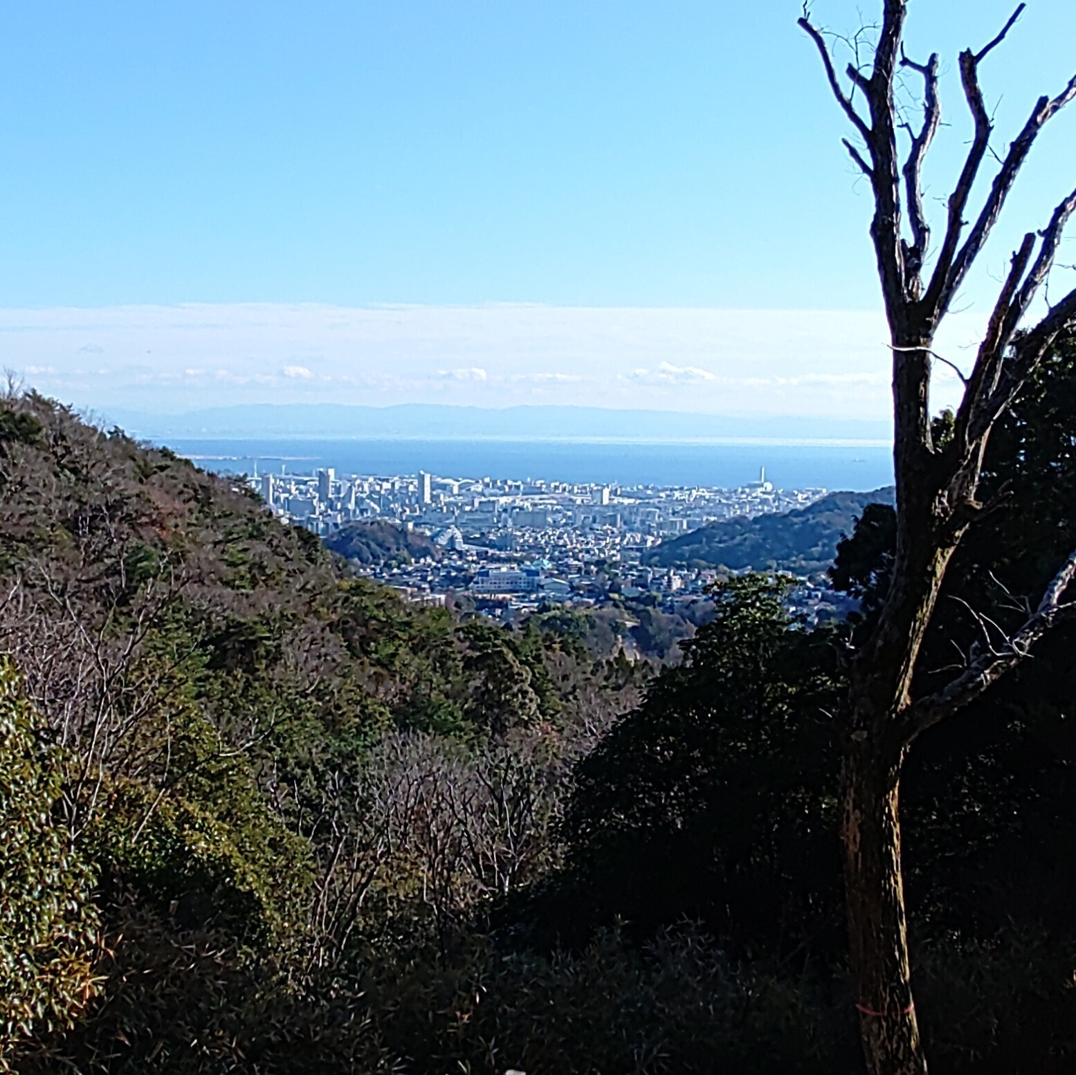 小春びより | TORQUE STYLE