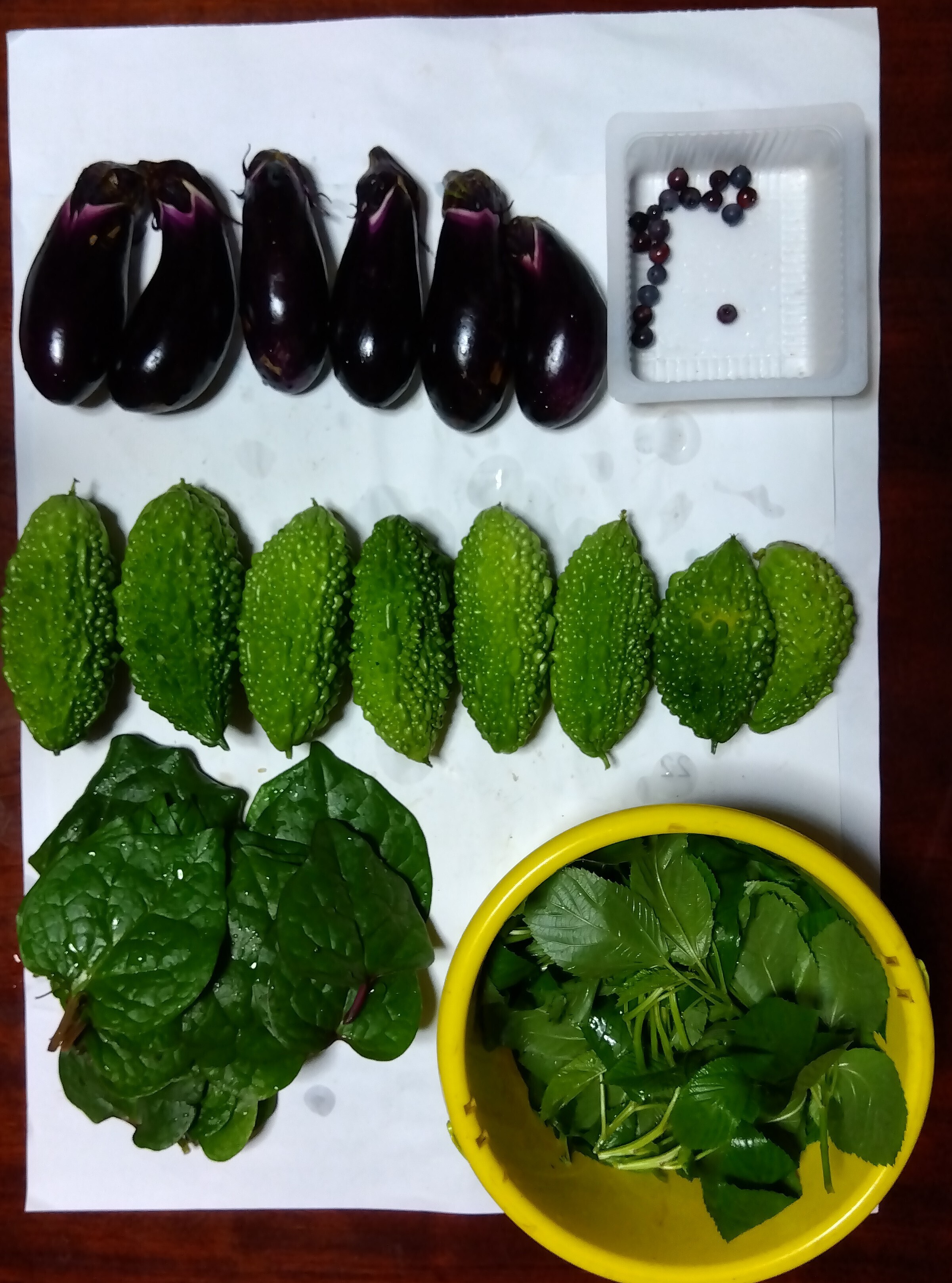 今日の収穫 | CAINZ DIY Square