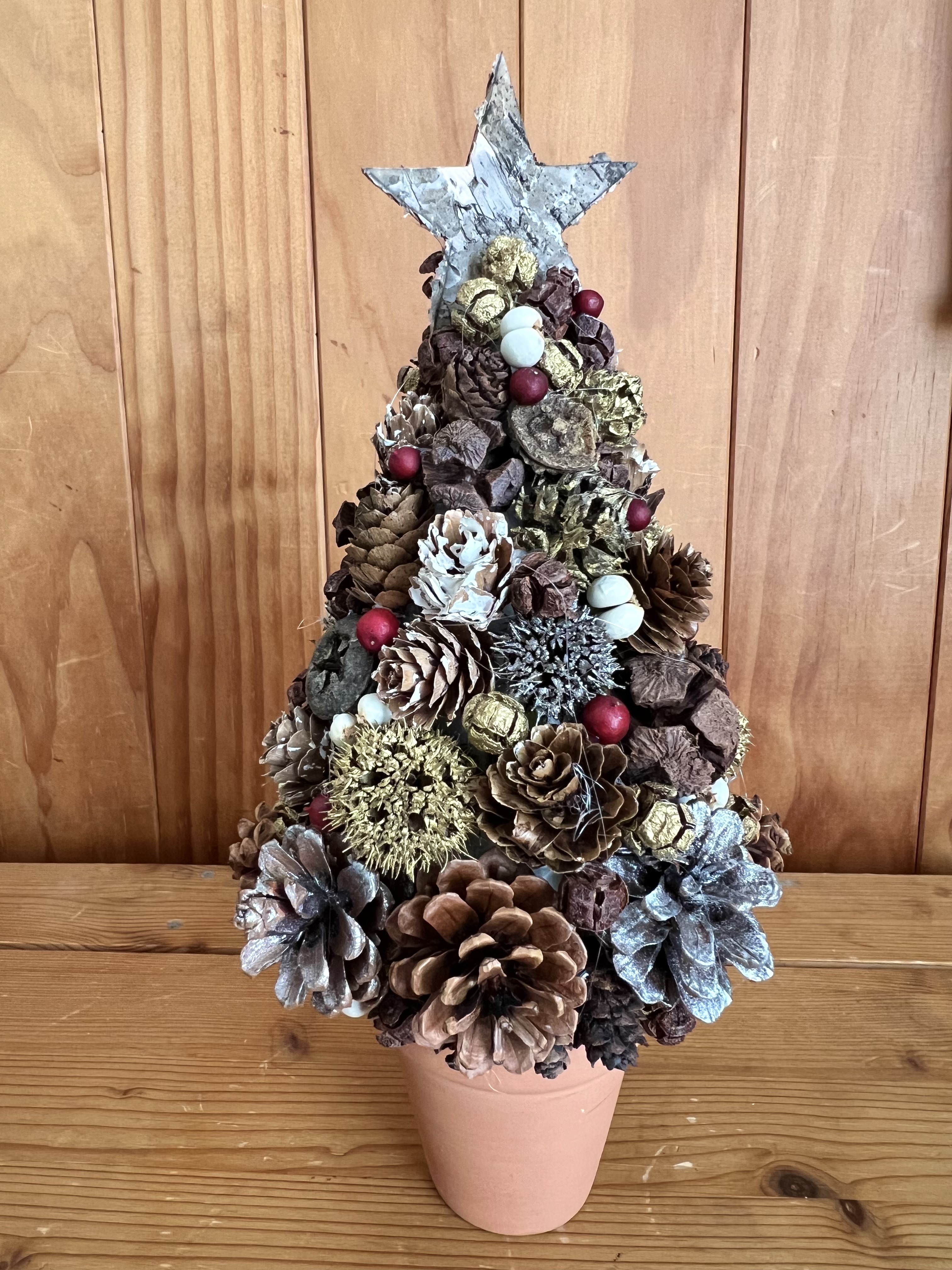 木の実のツリートピアリー🎄 | CAINZ DIY Square