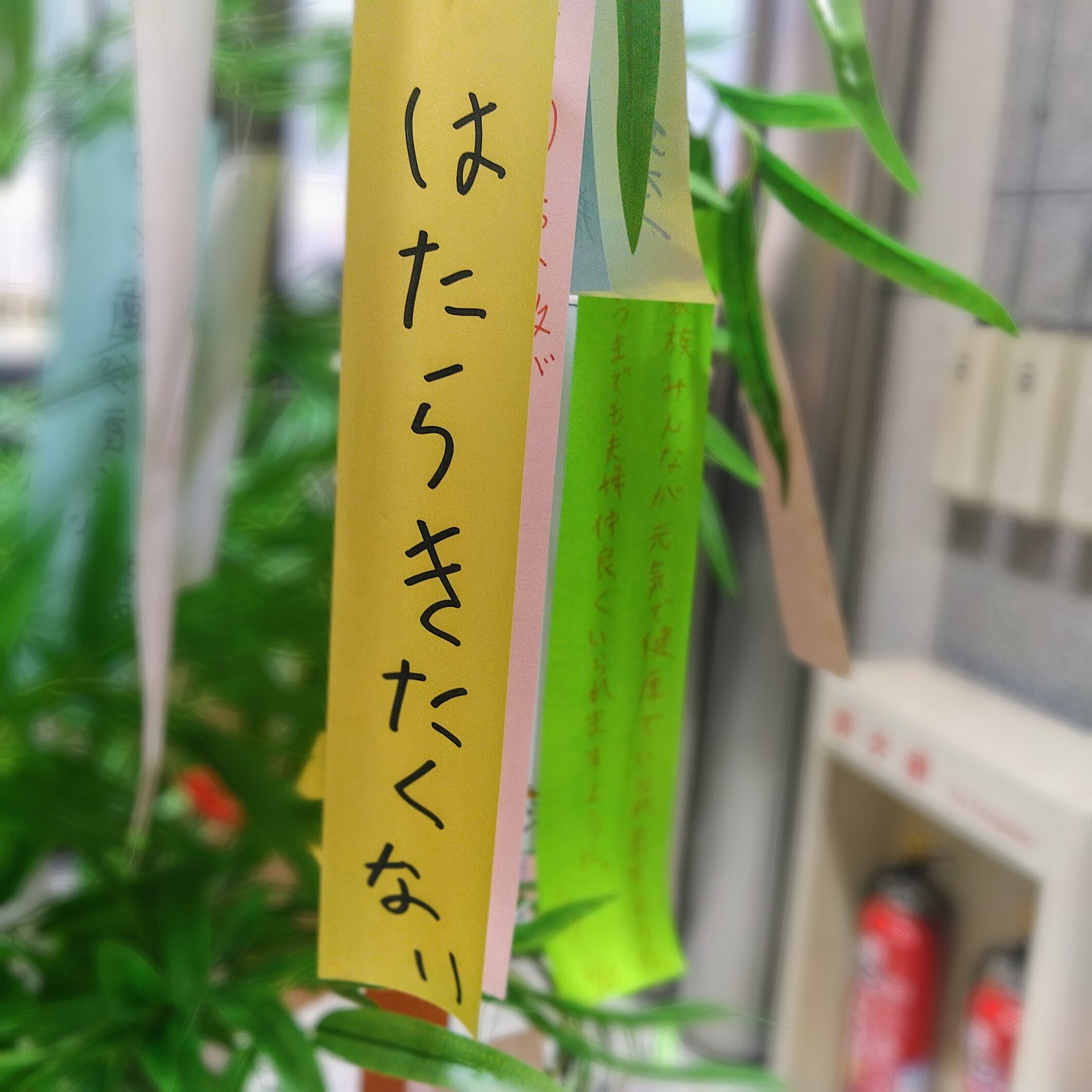 あなたのねがいがかなうころ | TORQUE STYLE