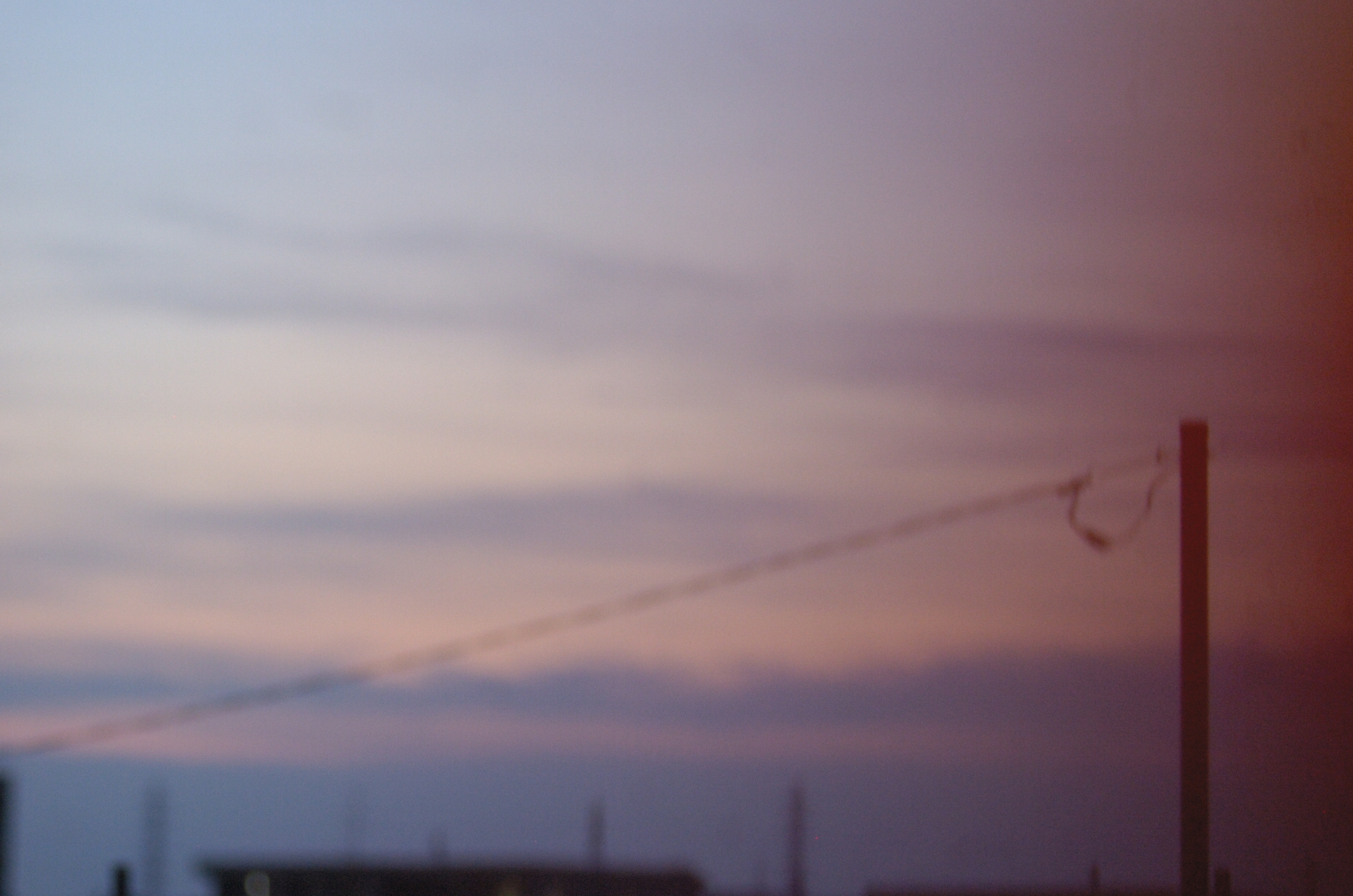 CMOS、CCD、LBCAST同条件での比較 | PHOTO HUB by nikkor club
