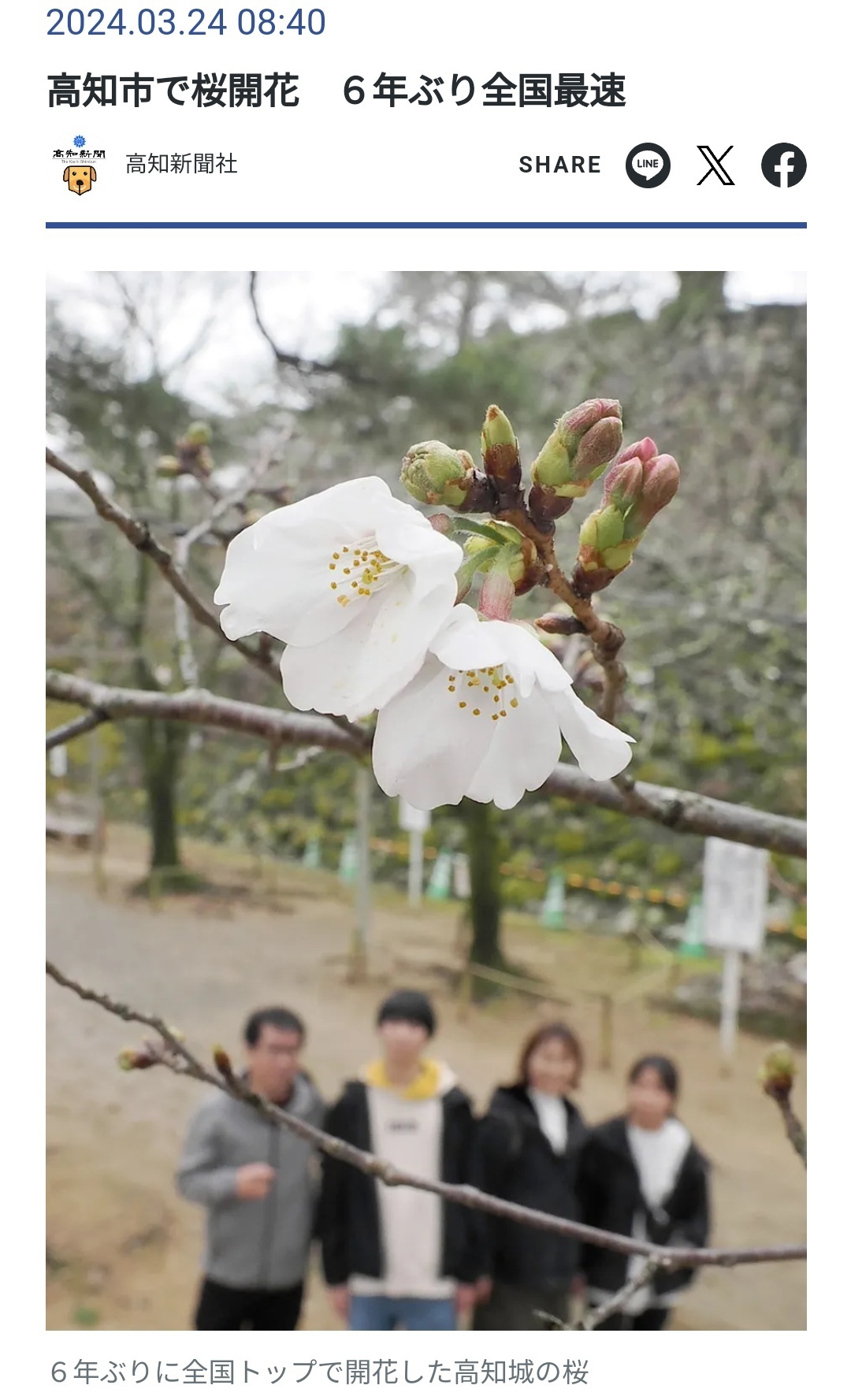 高地が開花最速 | TORQUE STYLE