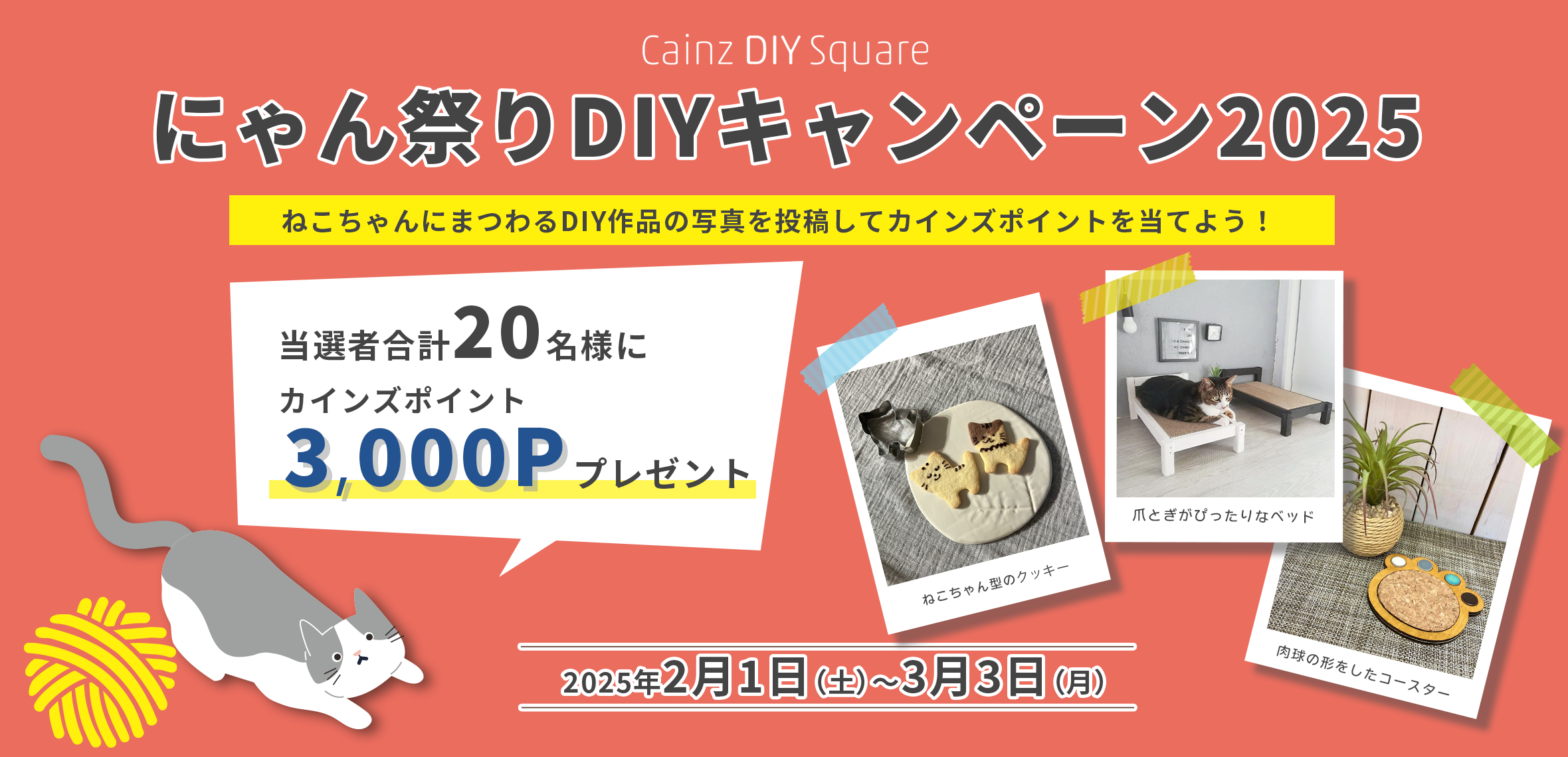 \にゃん祭りキャンペーン当選者発表🎁／ | CAINZ DIY Square