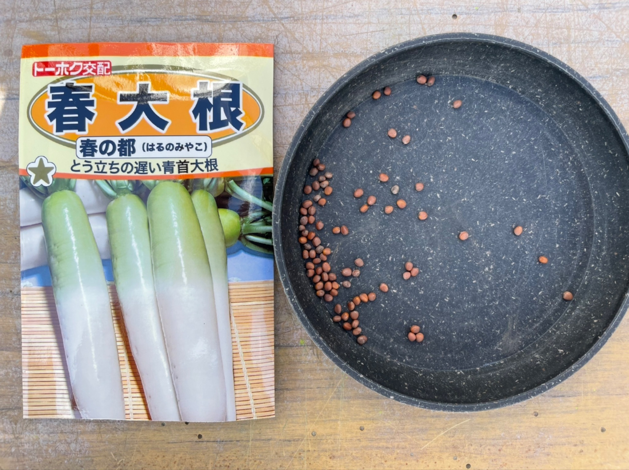 大根の種蒔き | CAINZ DIY Square