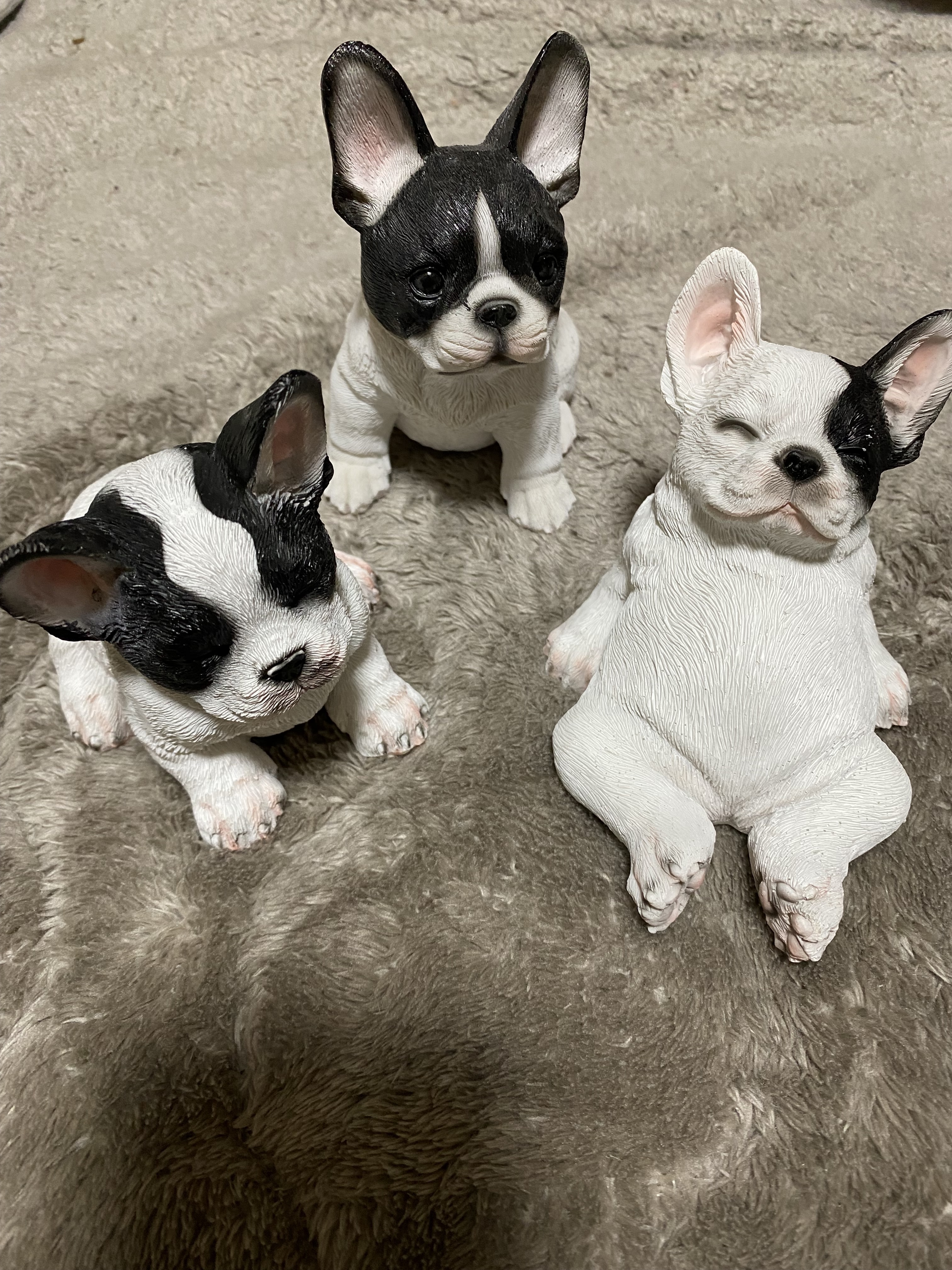 お仲間増えました🐶🐶🐶 | ニトリチャンネル【公式】
