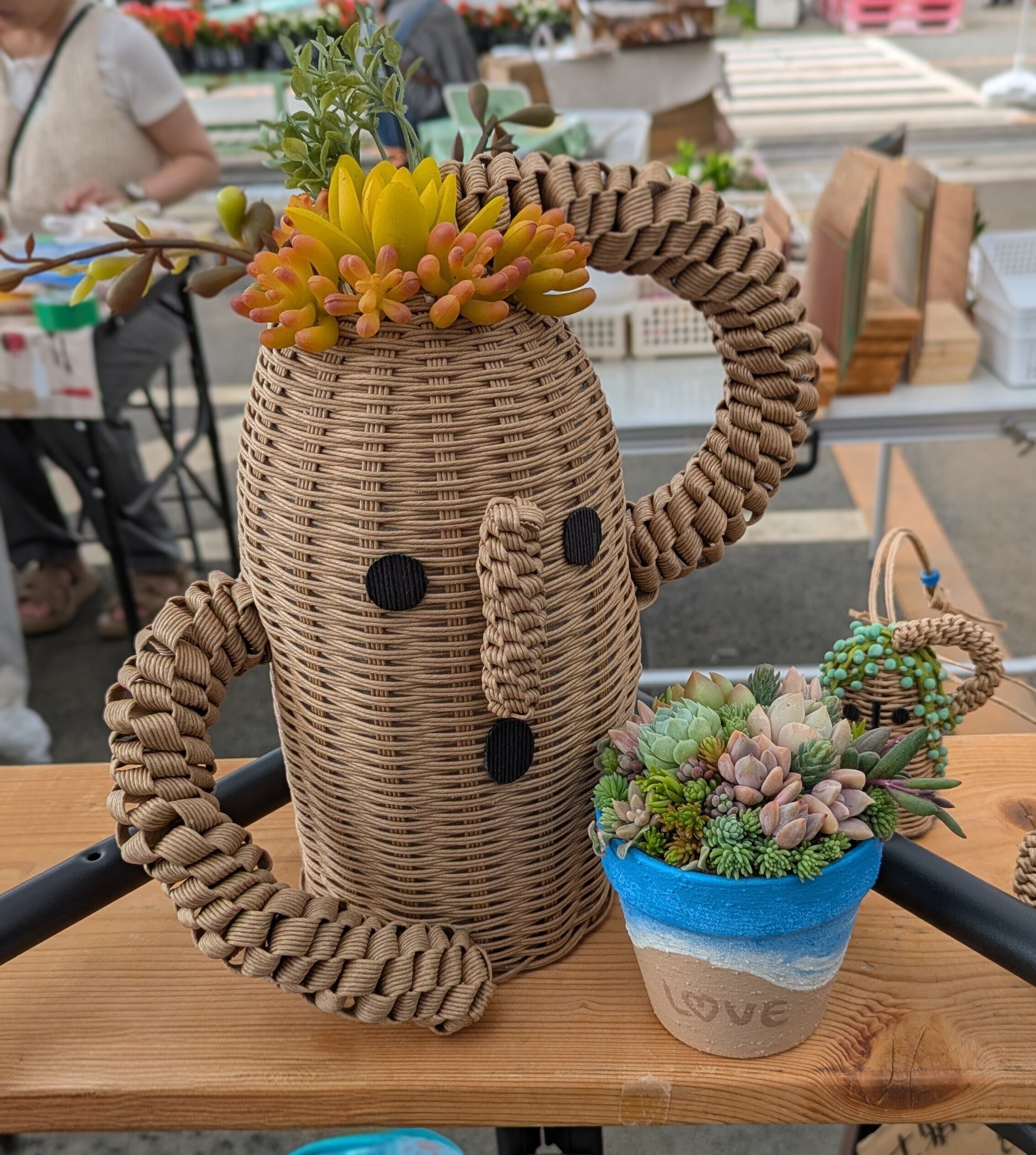 多肉の寄せ植え🌊 | CAINZ DIY Square