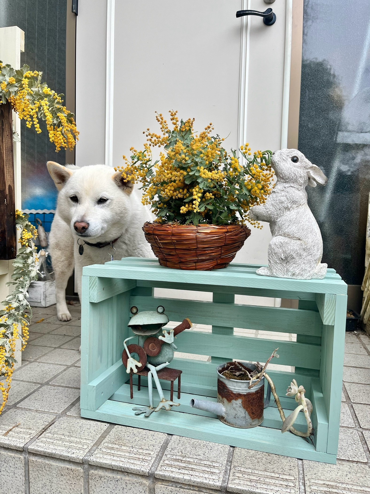 ウッドコンテナ | CAINZ DIY Square