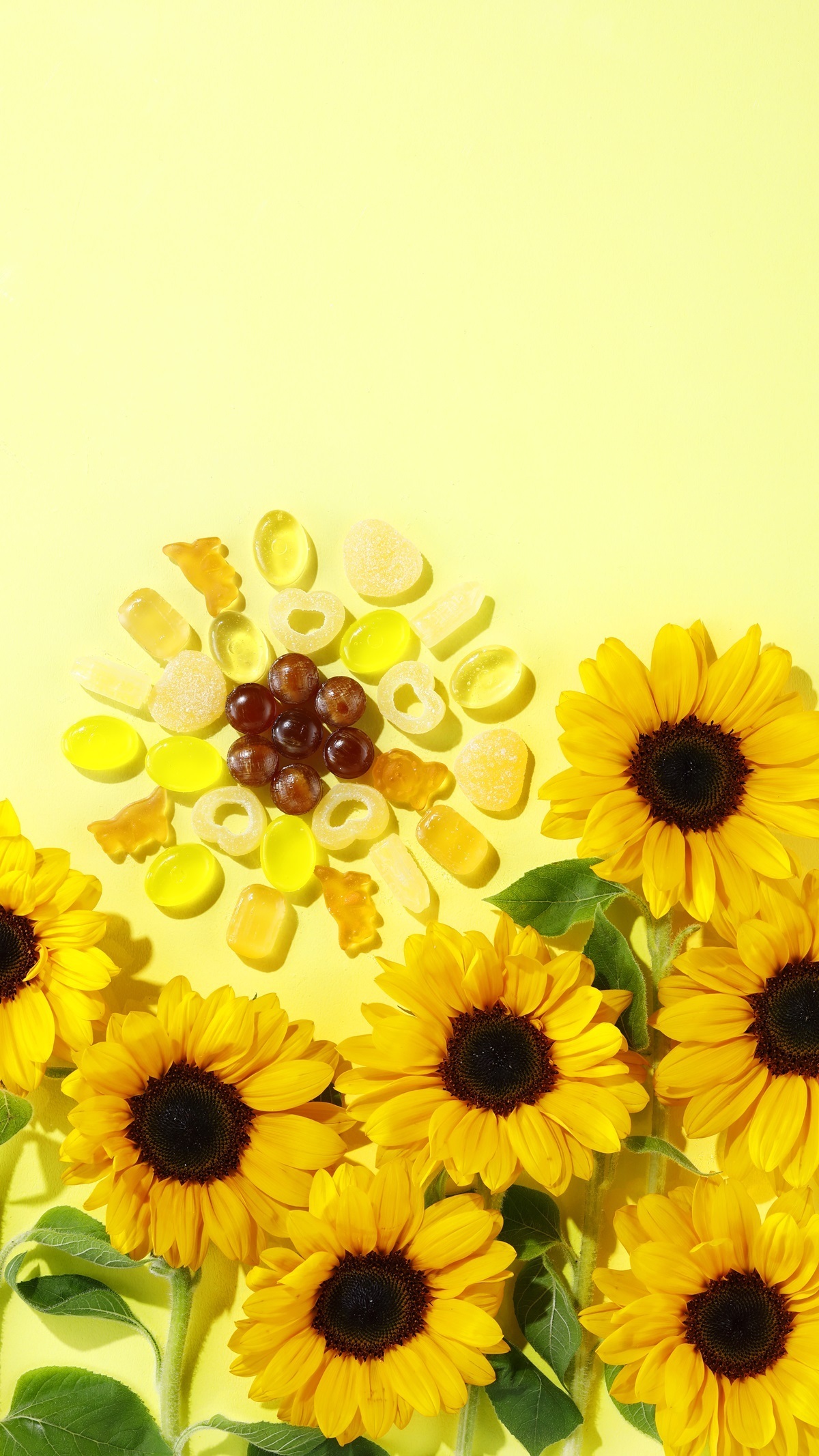 ひまわり🌻 | Kanro POCKeT ×