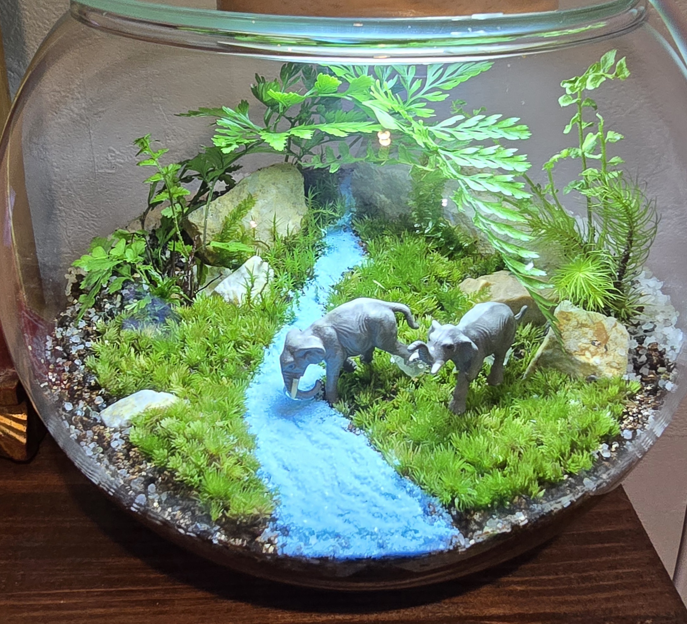 苔テラリウム(象の楽園🏞️🩷🐘) | CAINZ DIY Square