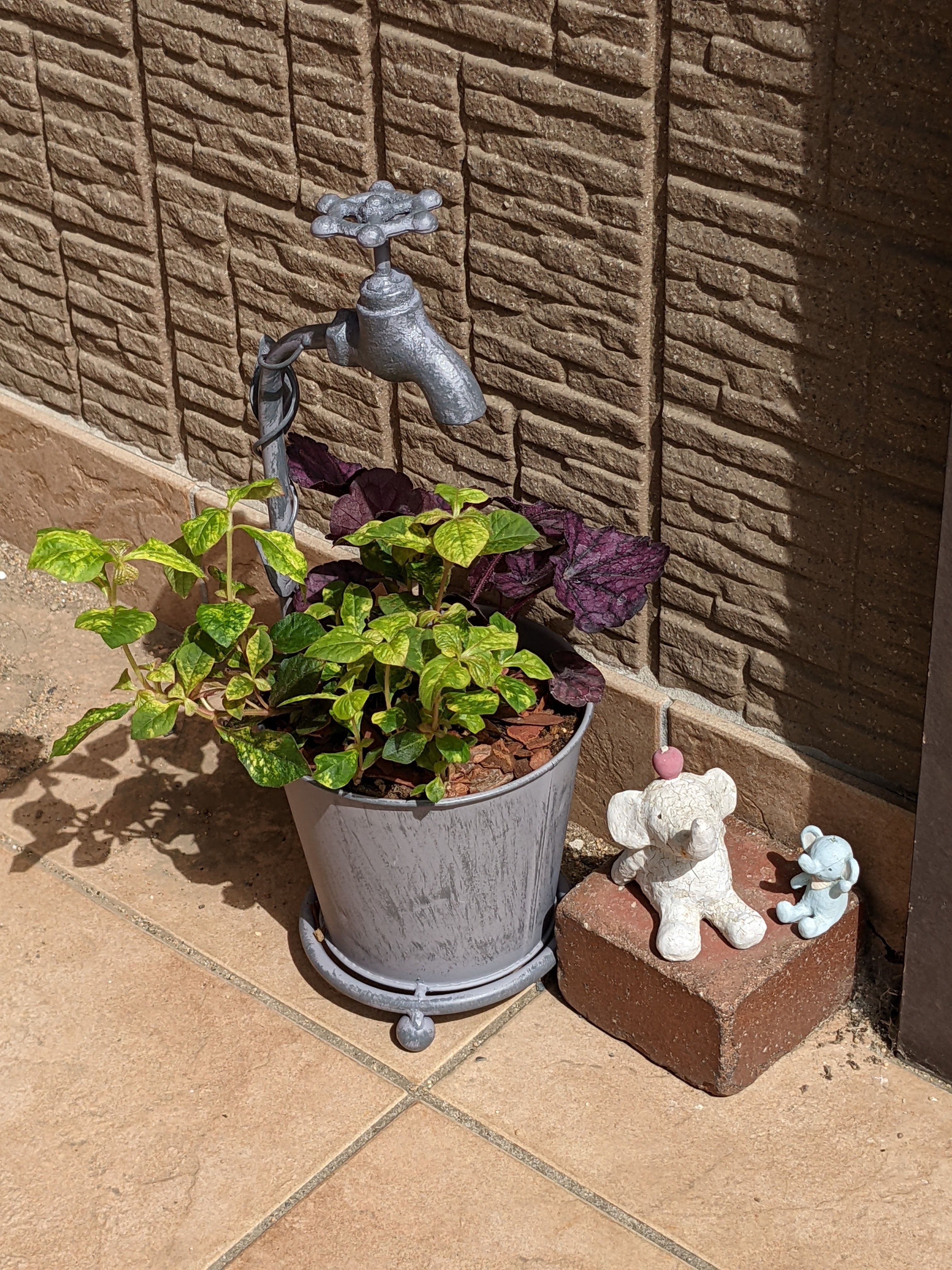 寄植え教室 | CAINZ DIY Square