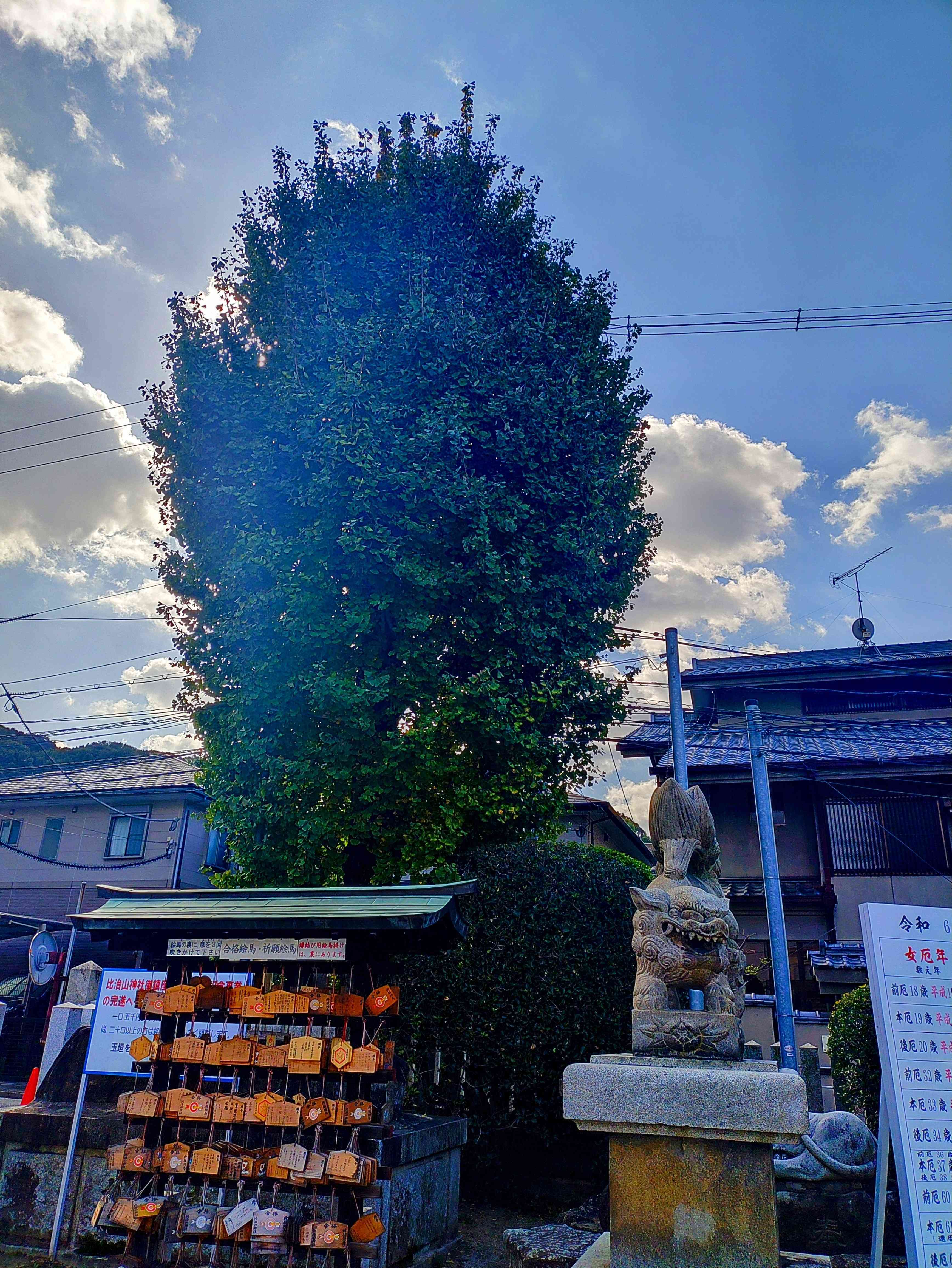 お昼ご飯後に！ | TORQUE STYLE