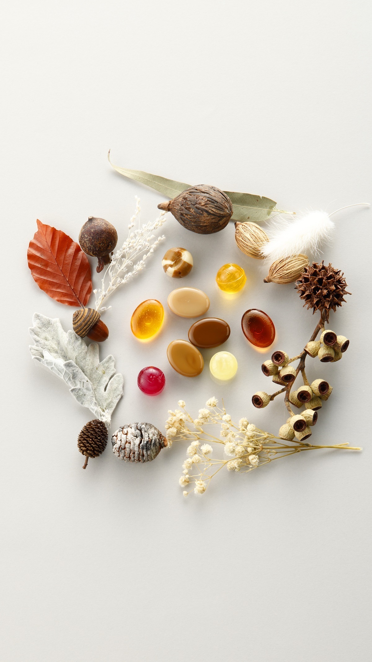 秋のリース🍁 | Kanro POCKeT ×